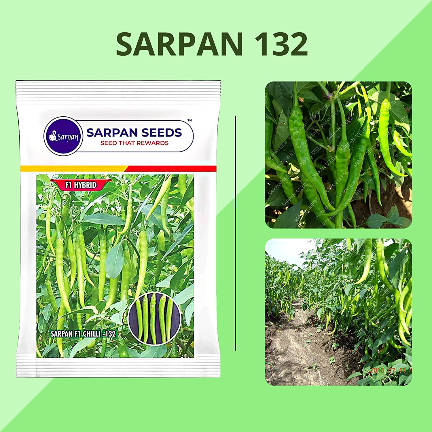 Sarpan F1 Chilli 132 - 10, 20, 40 & 100 Gm