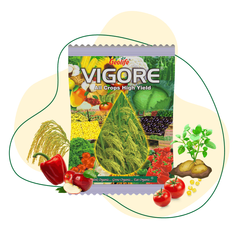 Geolife Vigore Biostimulant